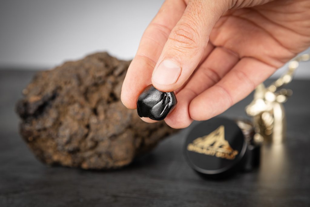 New Solid 10g Himalayan Shilajit Gold® Kashmiri | Pure Shilajit ...